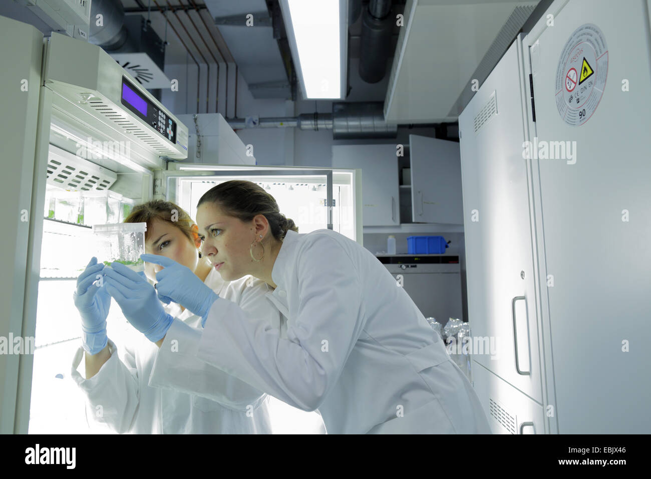 Biology lab technicians at work Stock Photo - Alamy