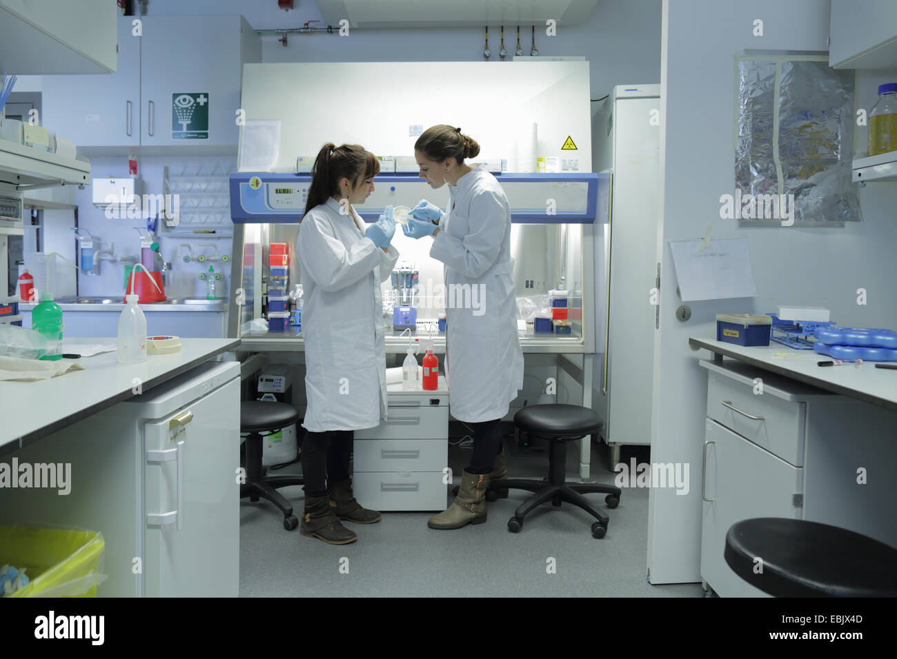 Biology lab technicians having discussion at work Stock Photo - Alamy