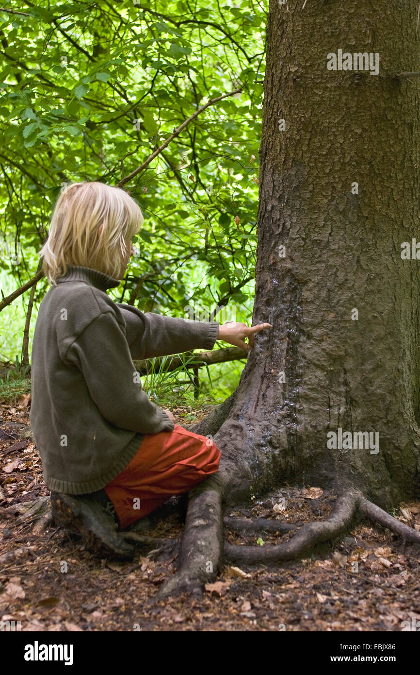 Child observing an animal in forest hi-res stock photography and images ...