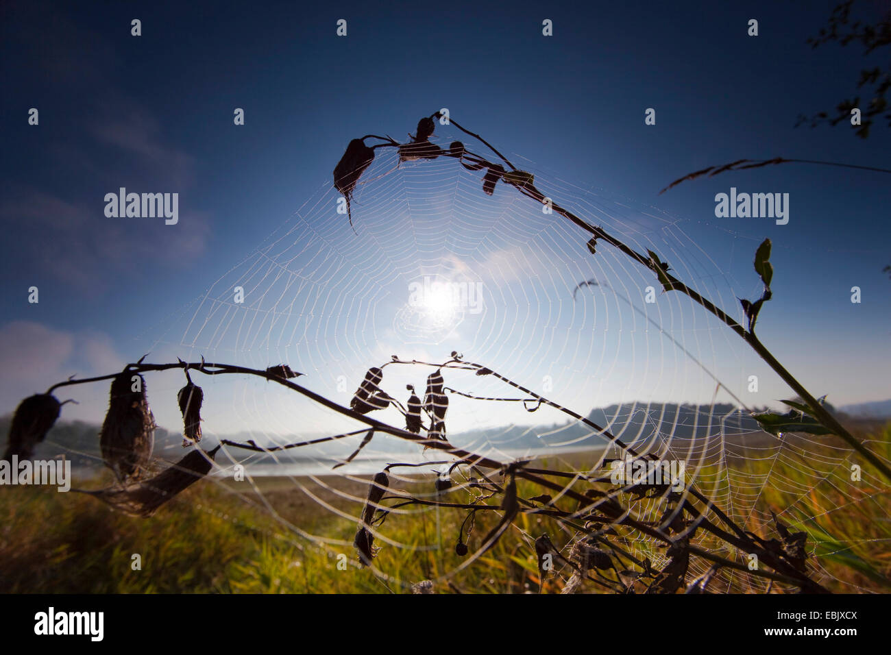 Spider lakes hi-res stock photography and images - Alamy