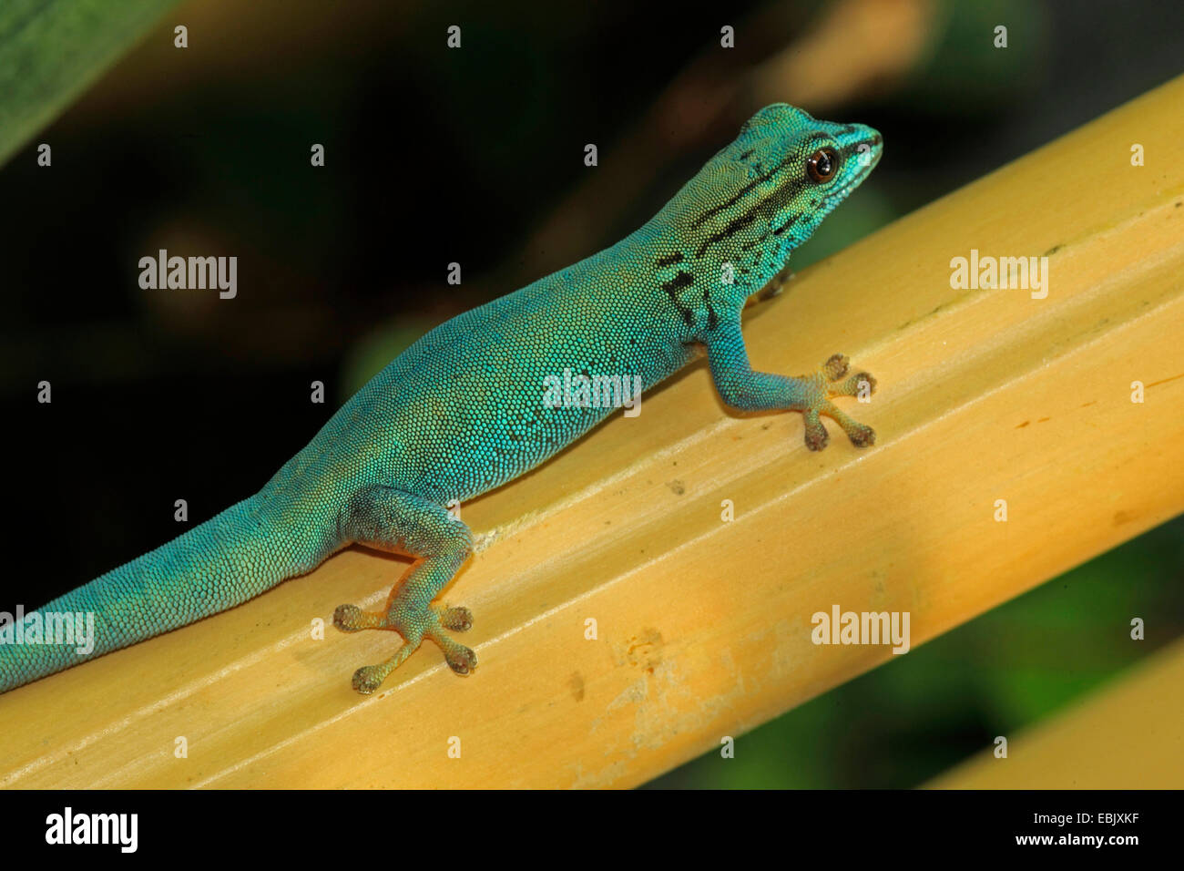 Wooden guard rail hi-res stock photography and images - Alamy