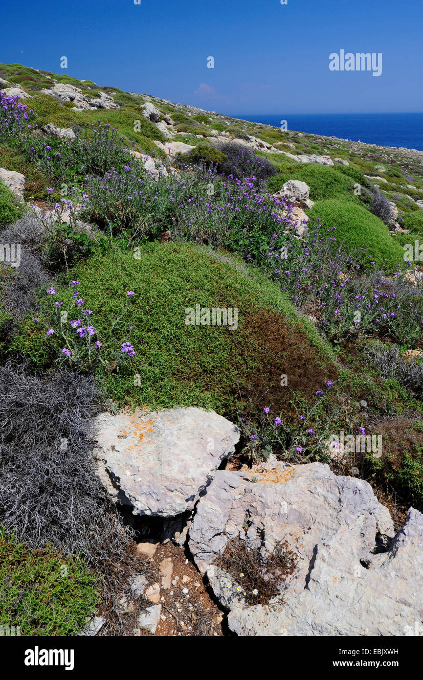 Pori hi-res stock photography and images - Alamy