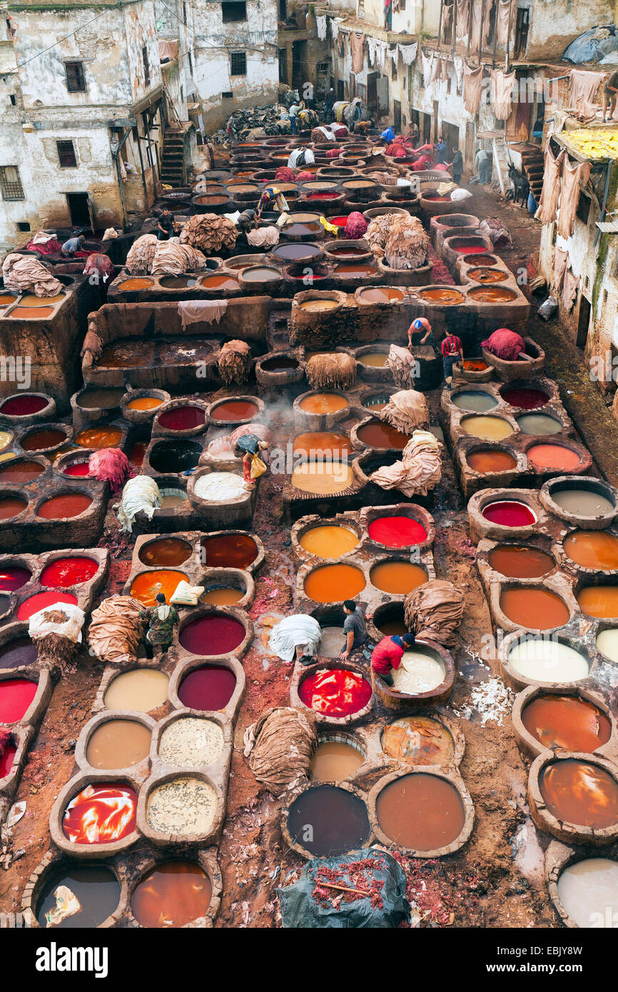 dye factory, Morocco, Fes Stock Photo - Alamy