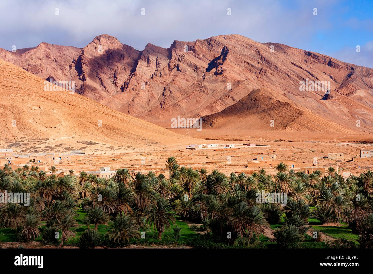 palm oasis near Tata, Morocco, Tata, Antiatlas Stock Photo - Alamy