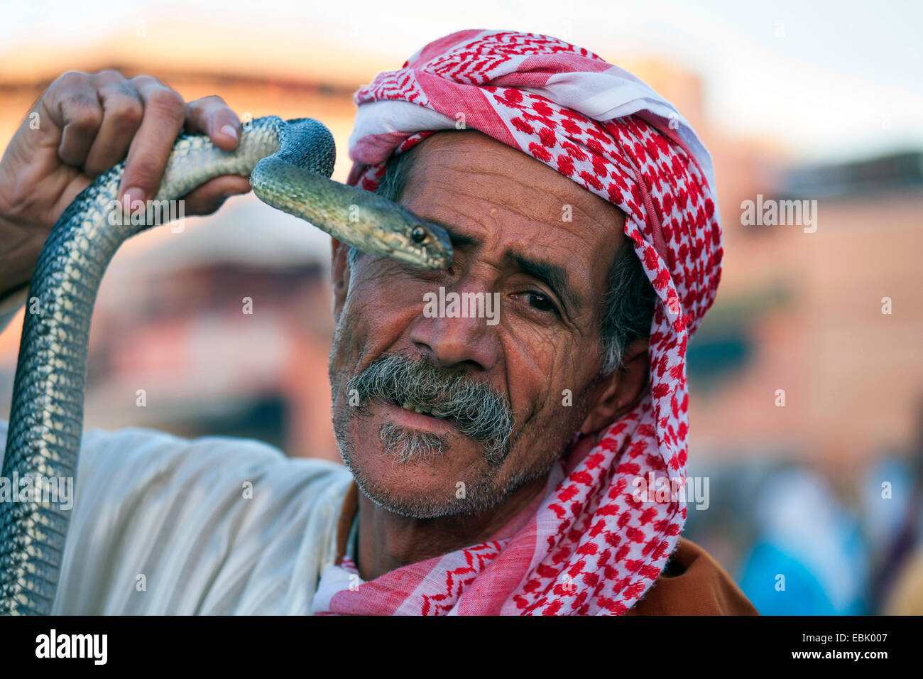 snake charmer, Morocco, Marrakesh Stock Photo - Alamy