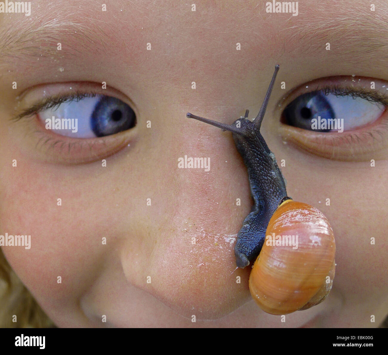 little girl with snake on her nose Stock Photo - Alamy