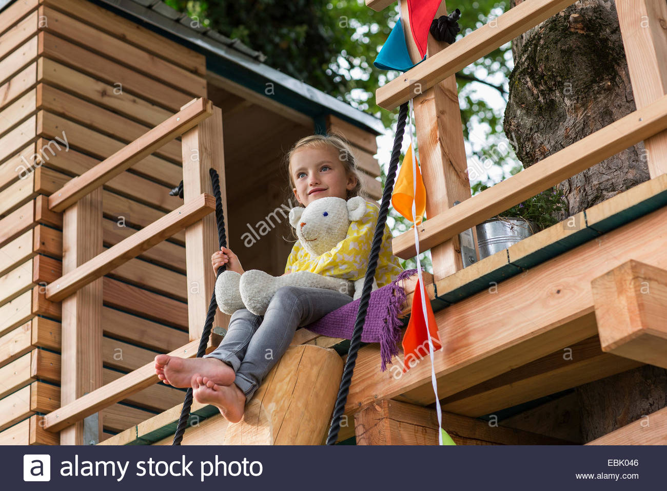 Soft Wood Tree High Resolution Stock Photography and Images - Alamy