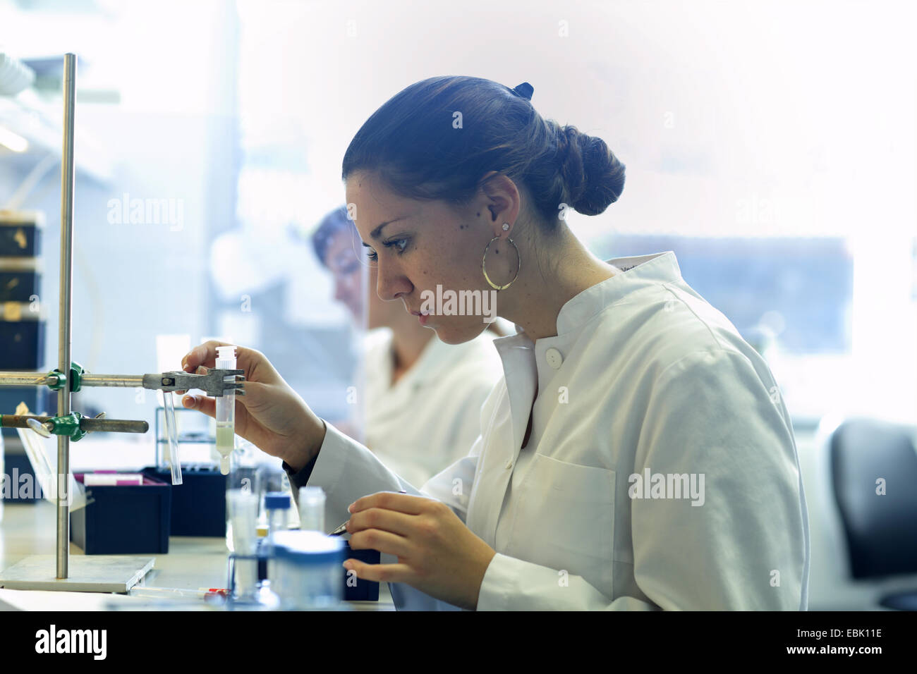 Biology lab technicians at work Stock Photo - Alamy