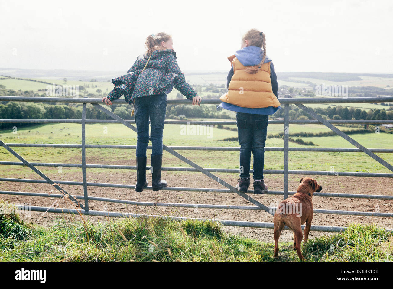 Two girls standing on metal gate Stock Photo - Alamy