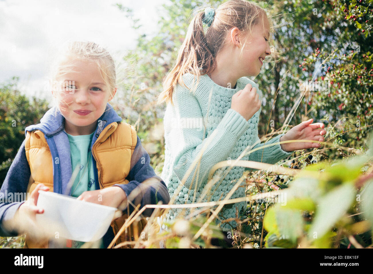 Two girls picking blackberries Stock Photo - Alamy Two girls picking blackberries Stock Photo - Alamy