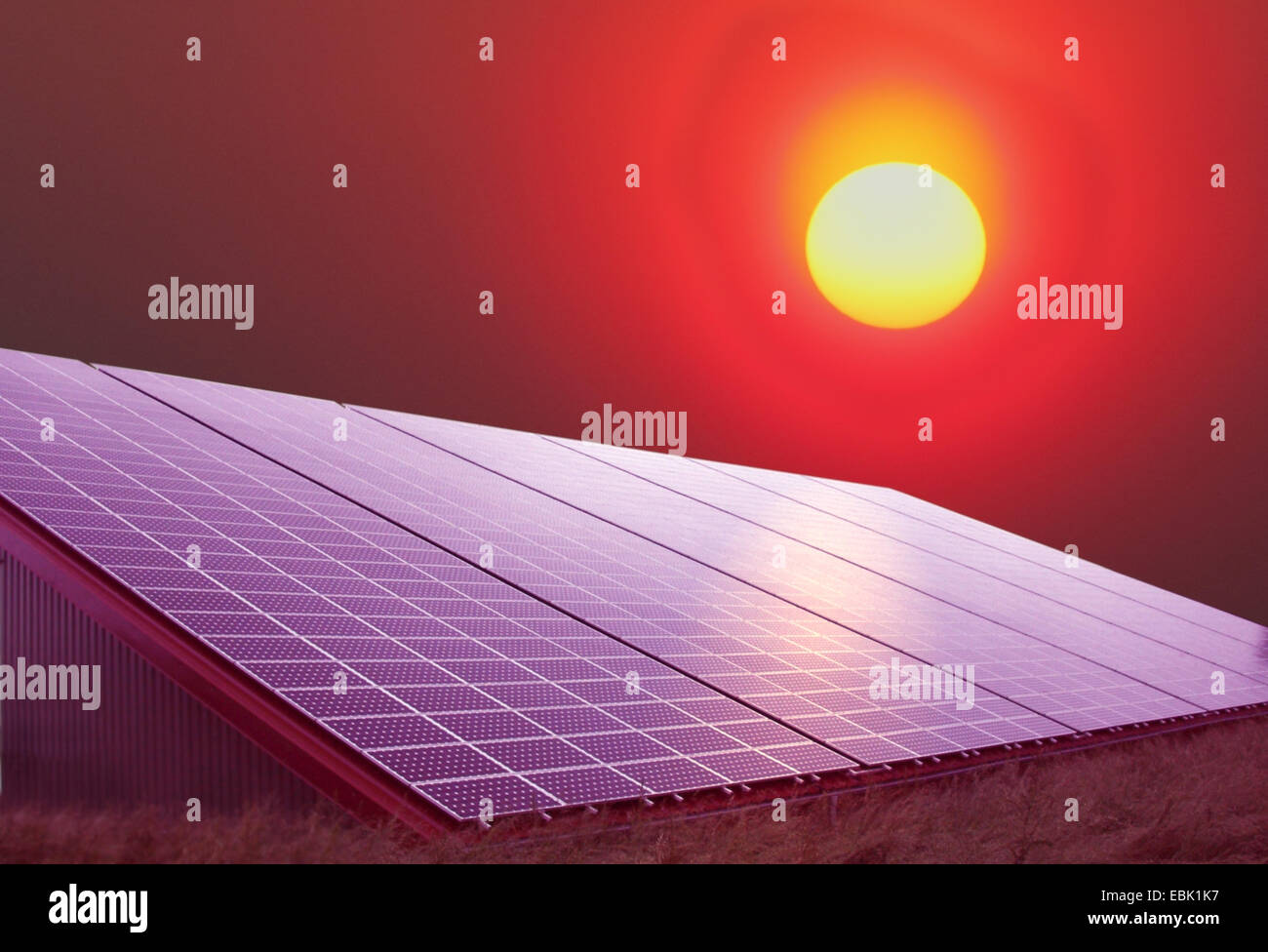 Solar Panel Plants High Resolution Stock Photography and Images - Alamy