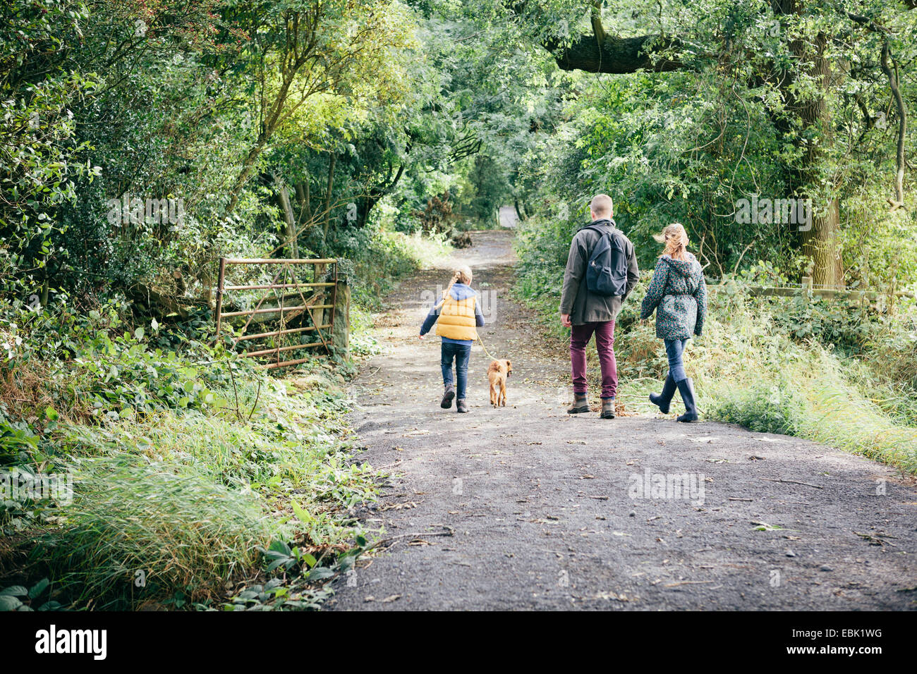 Father and two girls walking dog on rural road Stock Photo - Alamy