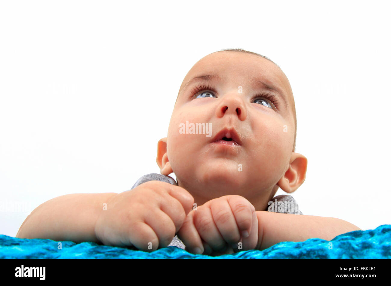 Belly cut open hi-res stock photography and images - Alamy