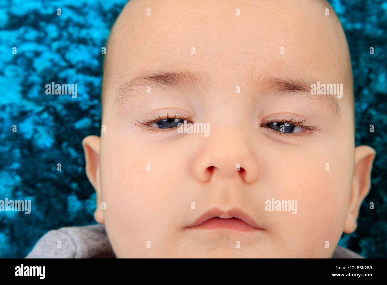 portrait of a baby falling asleep lying on a velvet pillow Stock Photo ...