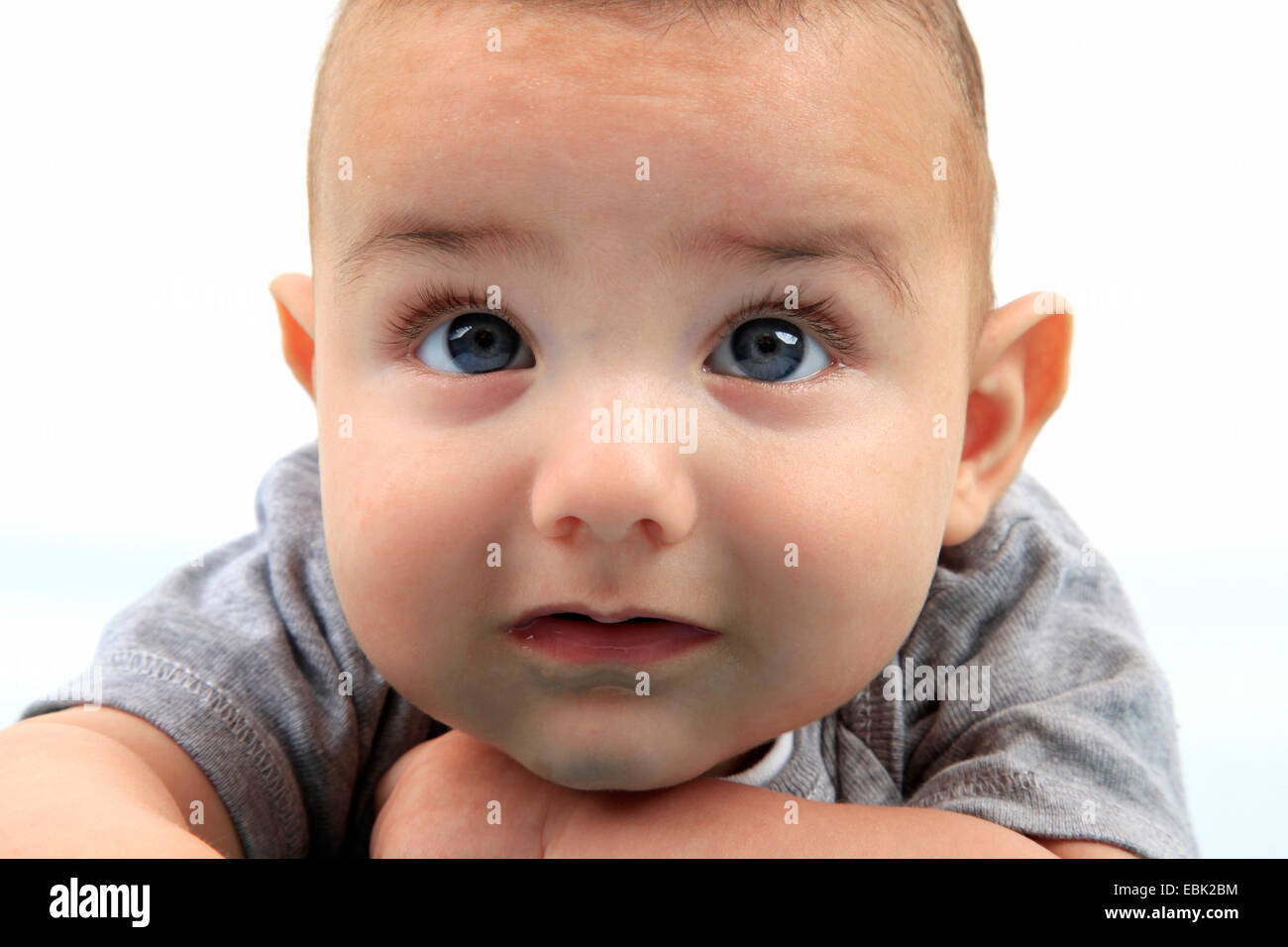 Belly cut open hi-res stock photography and images - Alamy