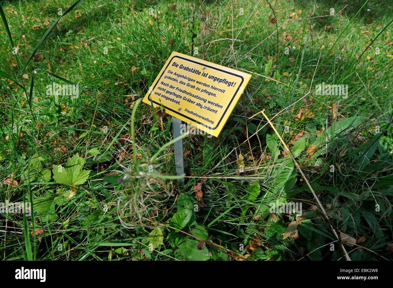 Graveyard weed hi-res stock photography and images - Alamy