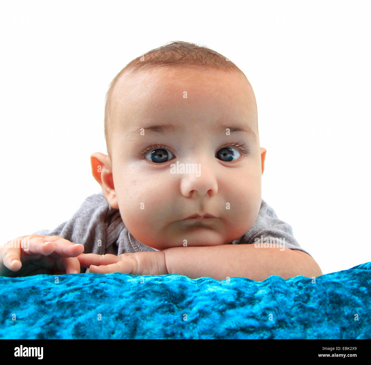 Belly cut open hi-res stock photography and images - Alamy