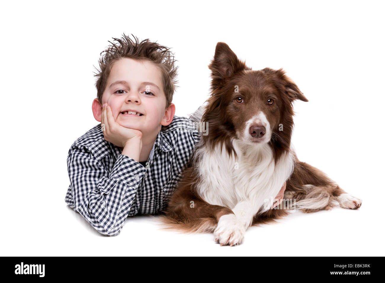 little boy and a border collie in front of a white background Stock ...