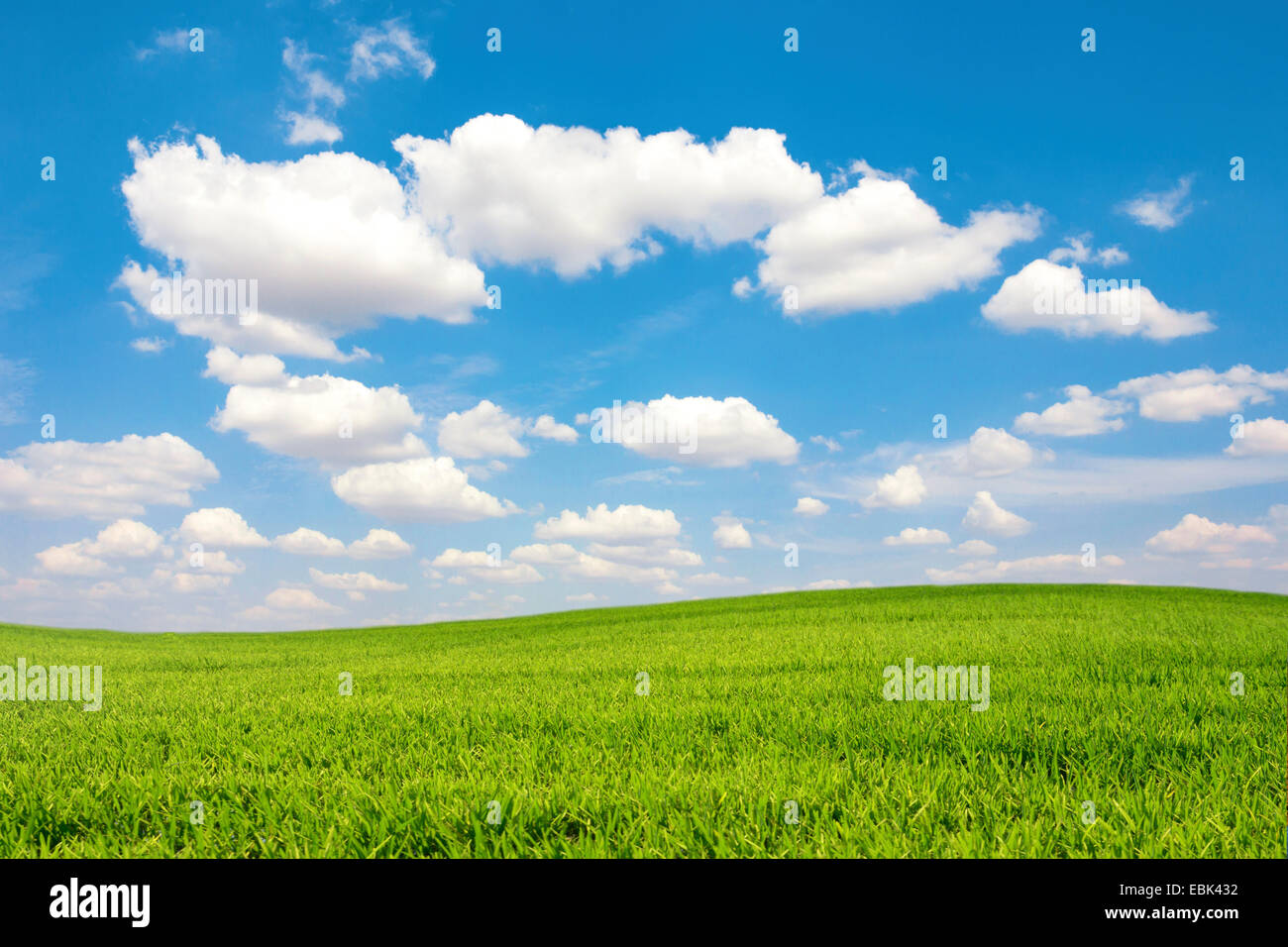 Green field with blue sky cloud Stock Photo - Alamy