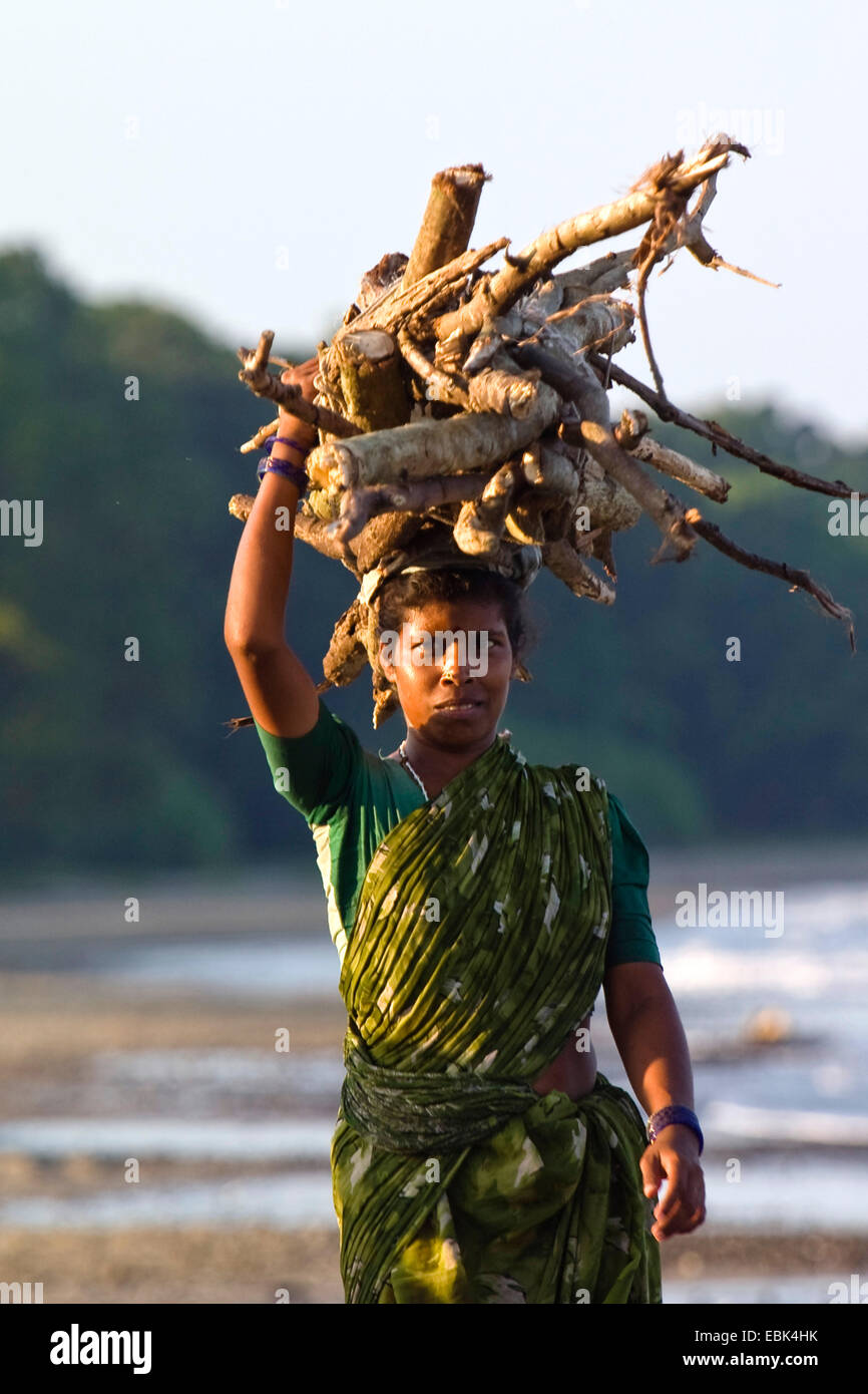 Indian woman with firewood on her head, India, Andaman Islands Stock ...
