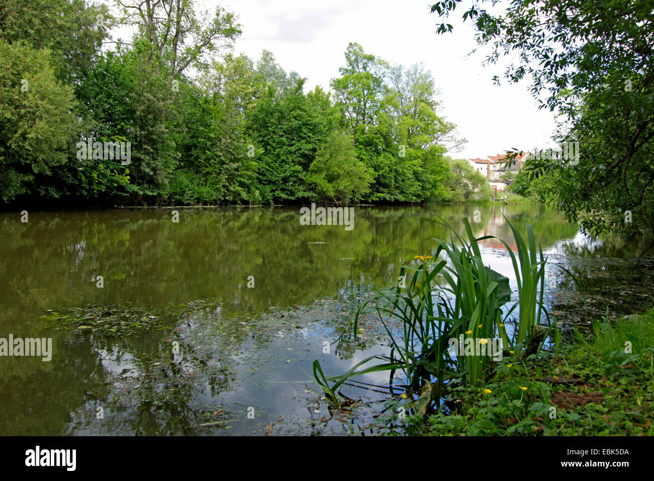 ditch near Bad Freienwalde, Germany, Brandenburg, Oderbruch, Bad ...