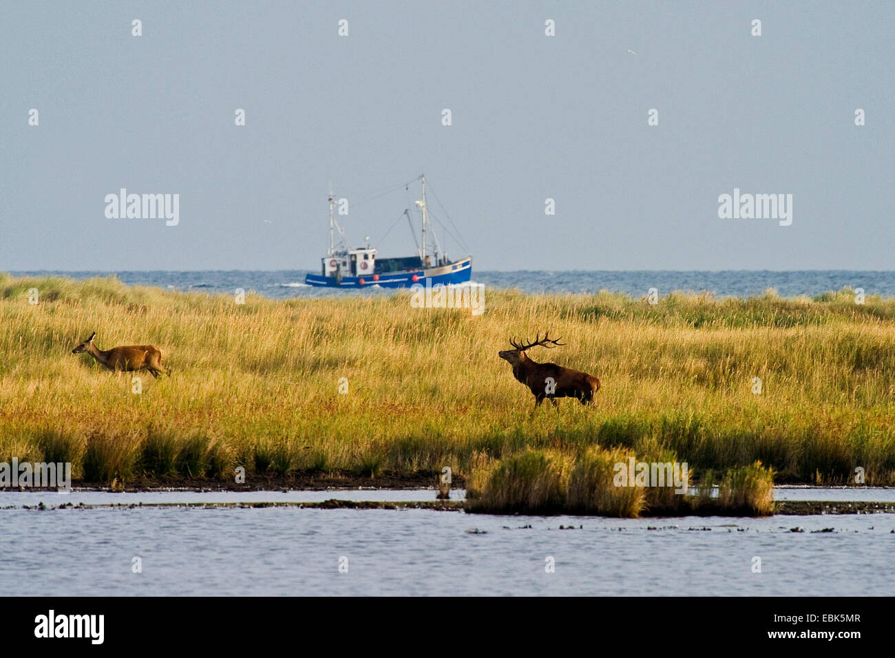 Spit of land in the sea hi-res stock photography and images - Alamy