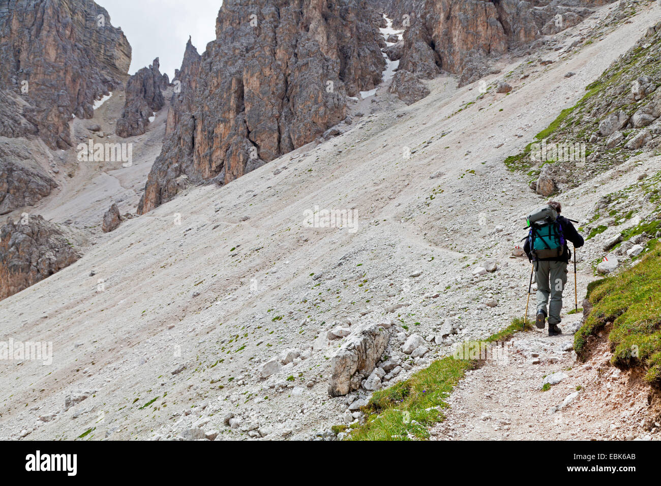 wanderer on hiking trail to Forcella della Roa, Italy, South Tyrol ...