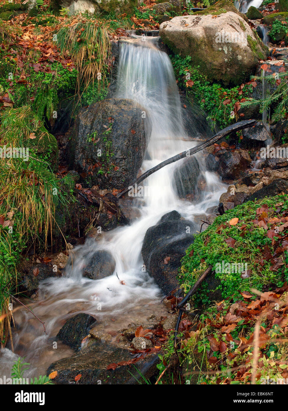 Vosges mountains hi-res stock photography and images - Alamy