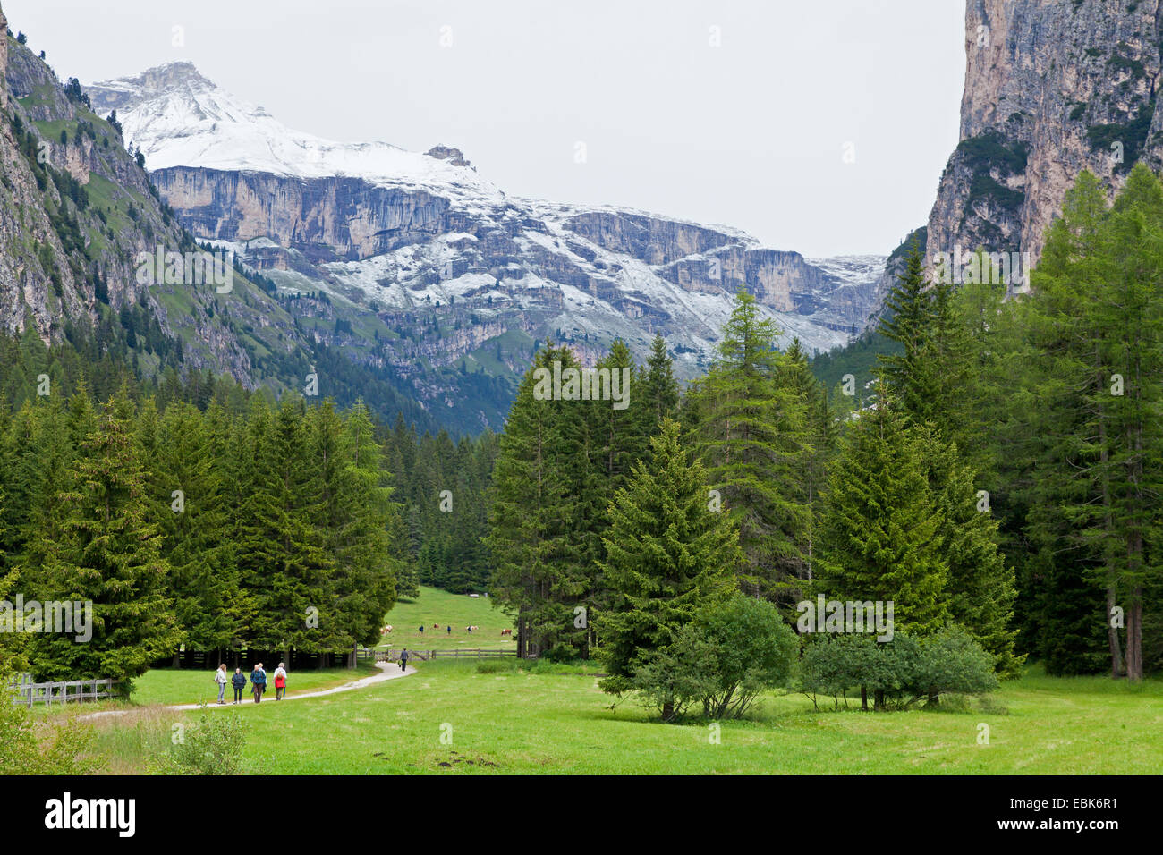 Vallunga hi-res stock photography and images - Alamy