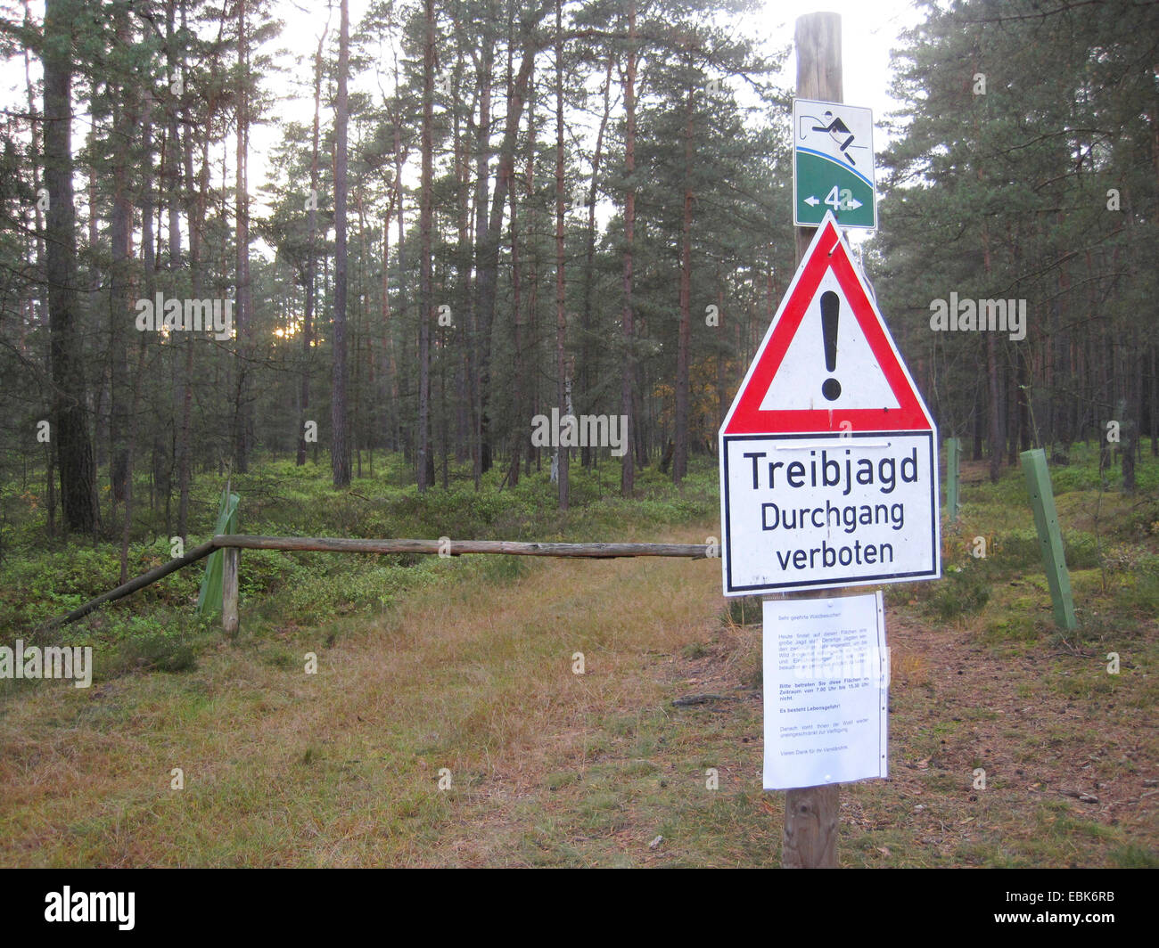 hunting warning sign on forest path, Germany, Lower Saxony Stock Photo ...