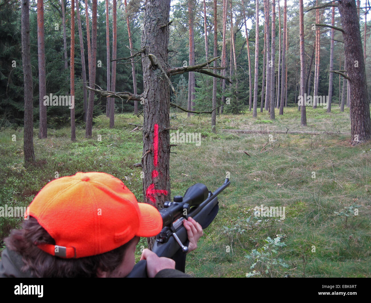 Raising of the colors hi-res stock photography and images - Alamy