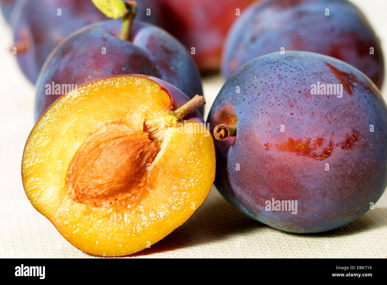 Prunus Domestica Fruit