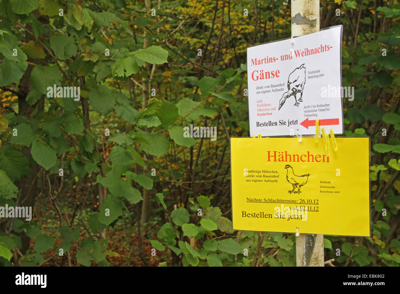 information sign for Christmas goose and Martin goose, Germany Stock ...