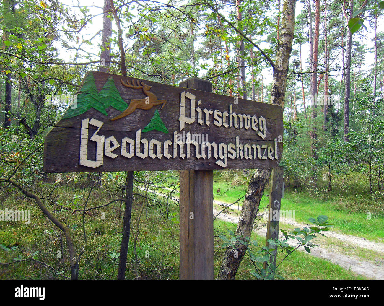 direction sign to raised hide, Germany, Lower Saxony, Gartow Stock ...