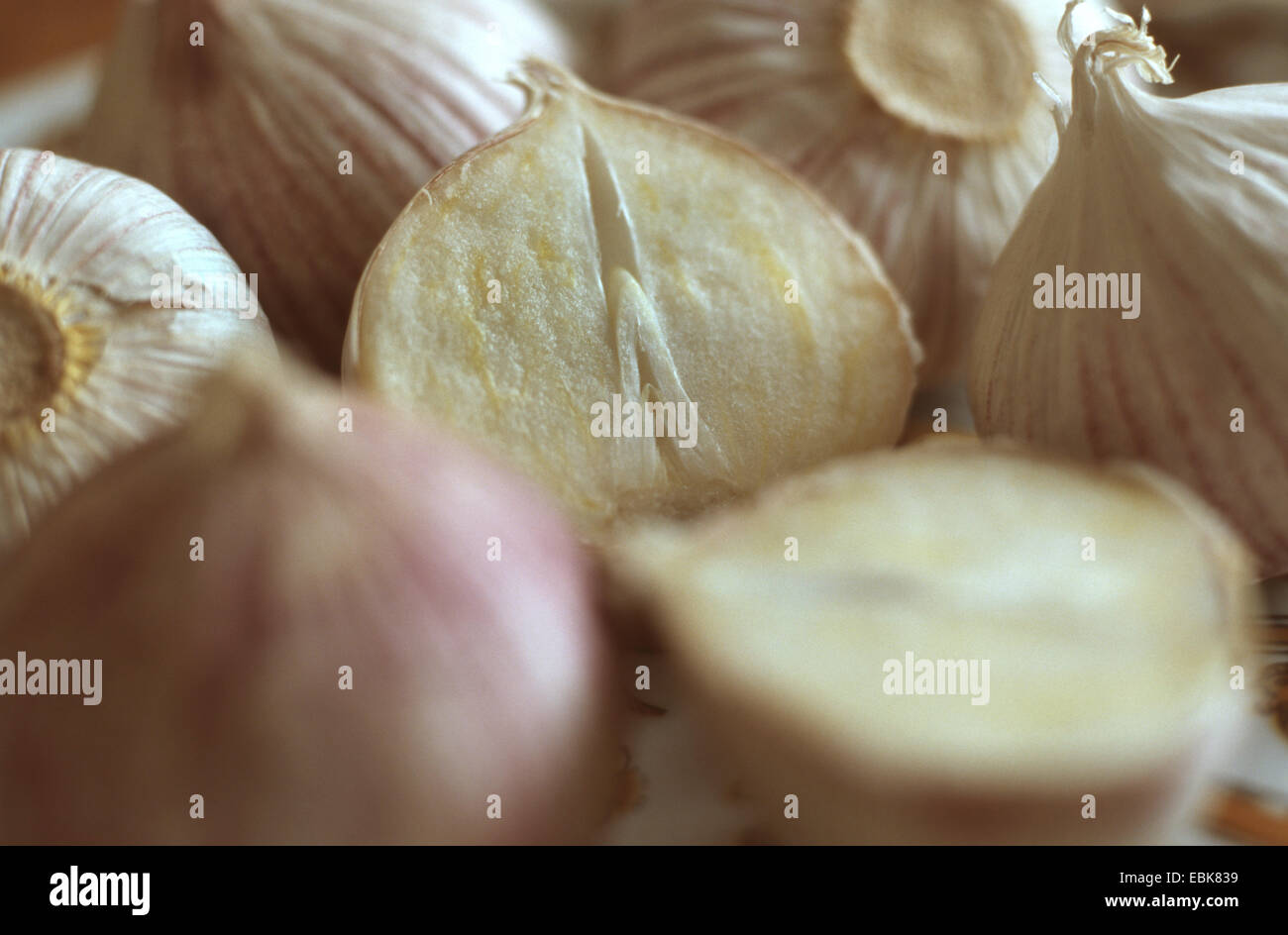 Wild onions hi-res stock photography and images - Alamy