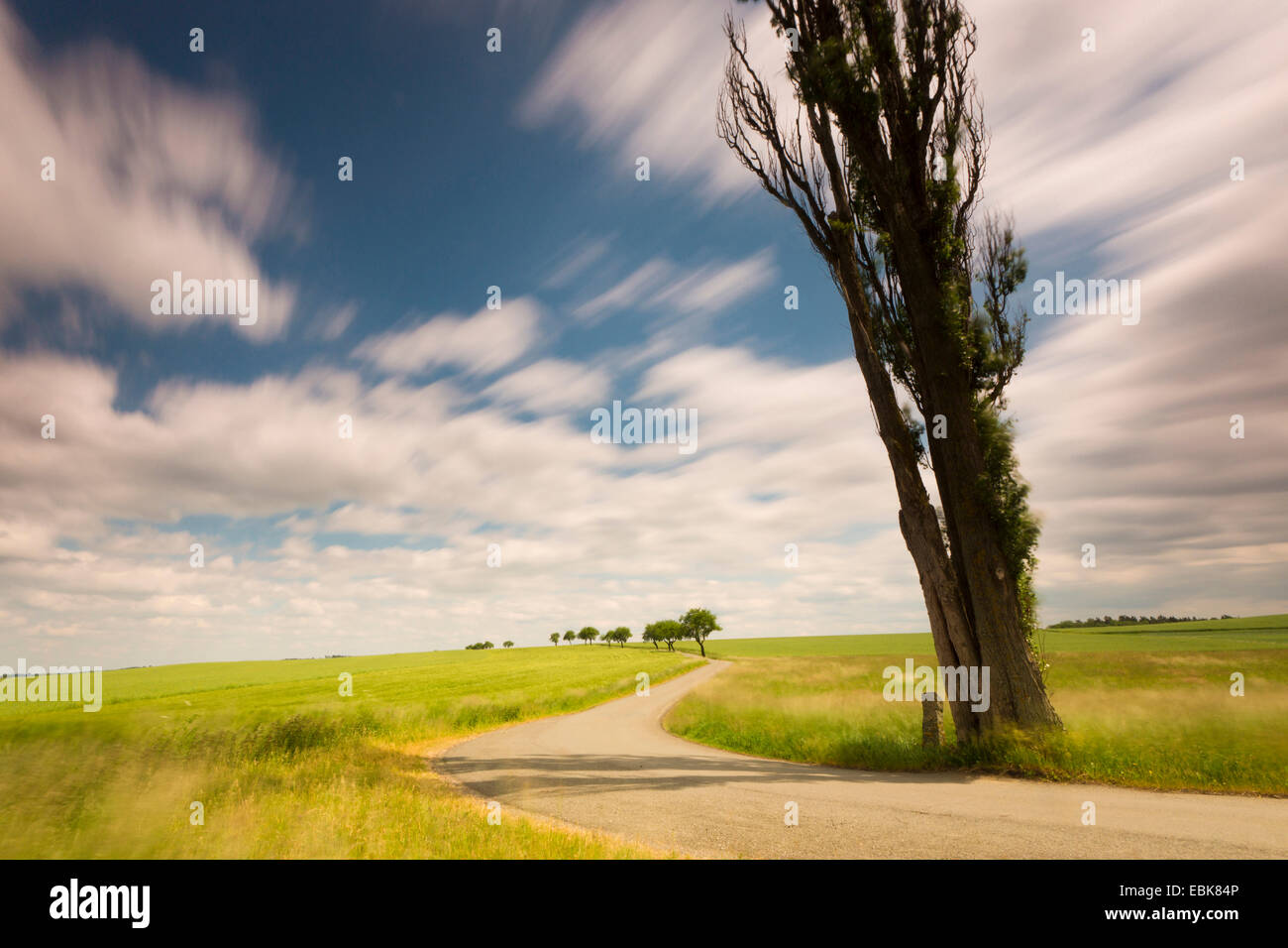 Corn dodgers hi-res stock photography and images - Alamy