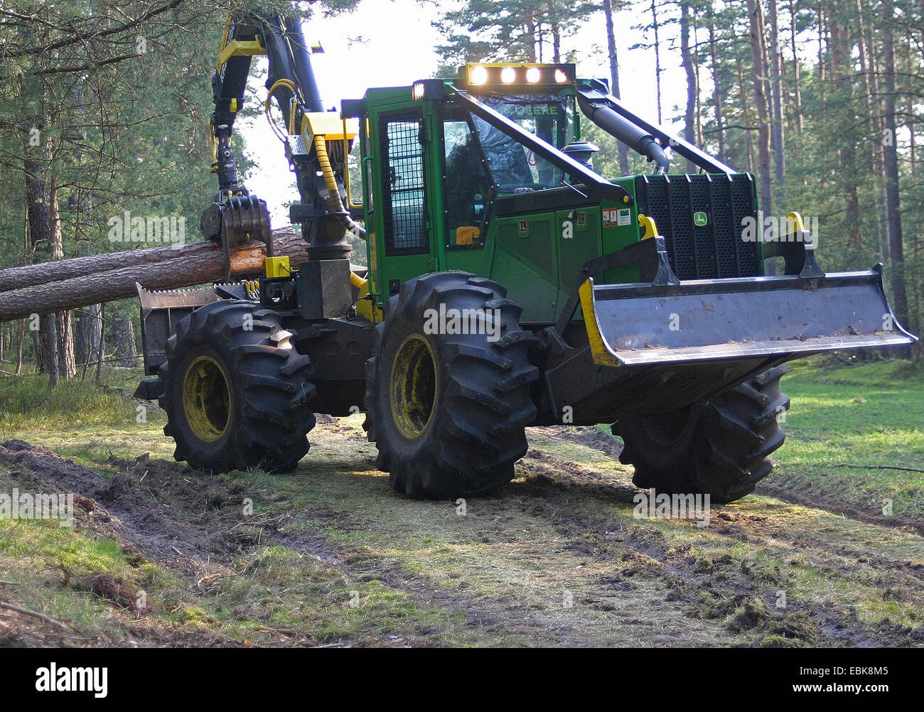 Scotch pine, Scots pine (Pinus sylvestris), Forwarder in a forest with ...
