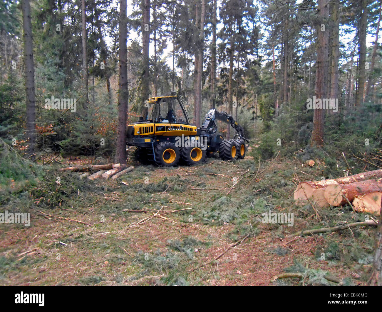 Forwarder hi-res stock photography and images - Alamy