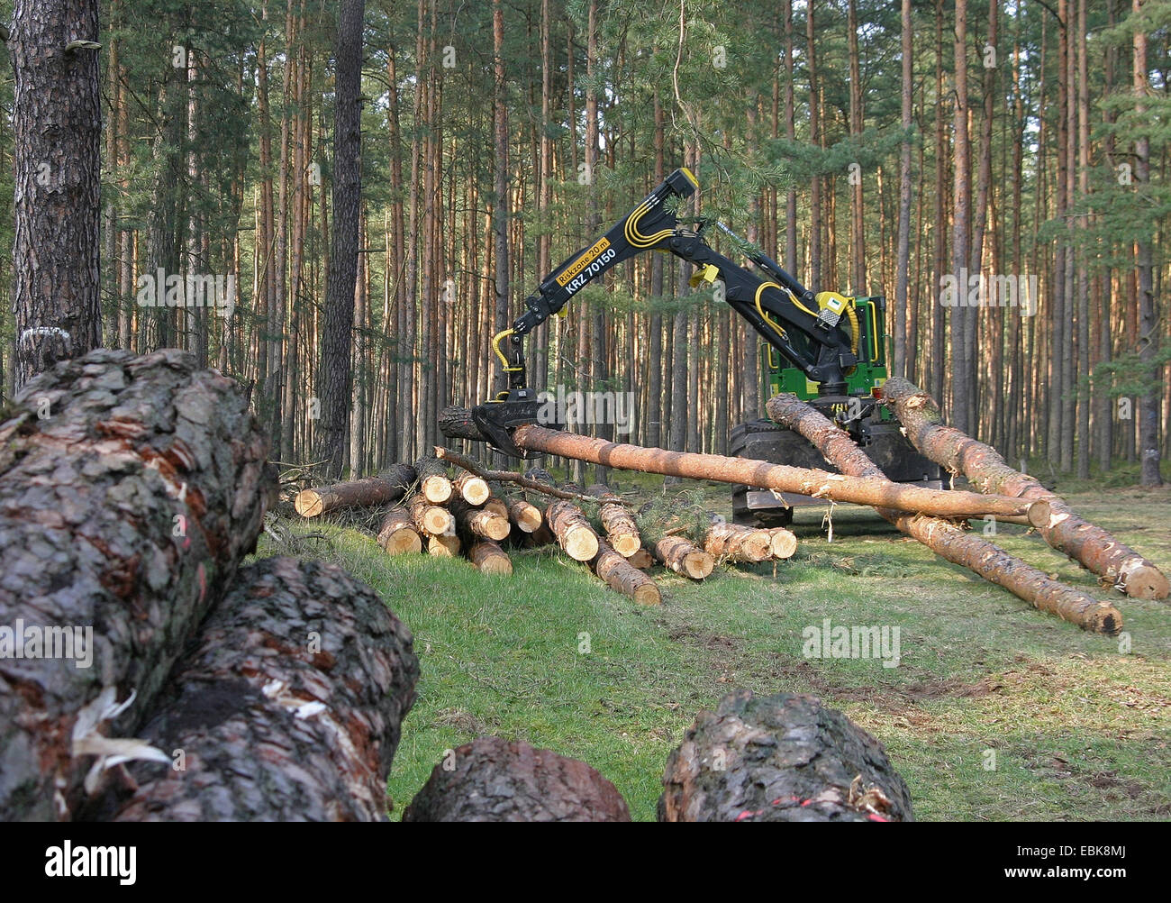 Forestry forwarder machine hi-res stock photography and images - Alamy