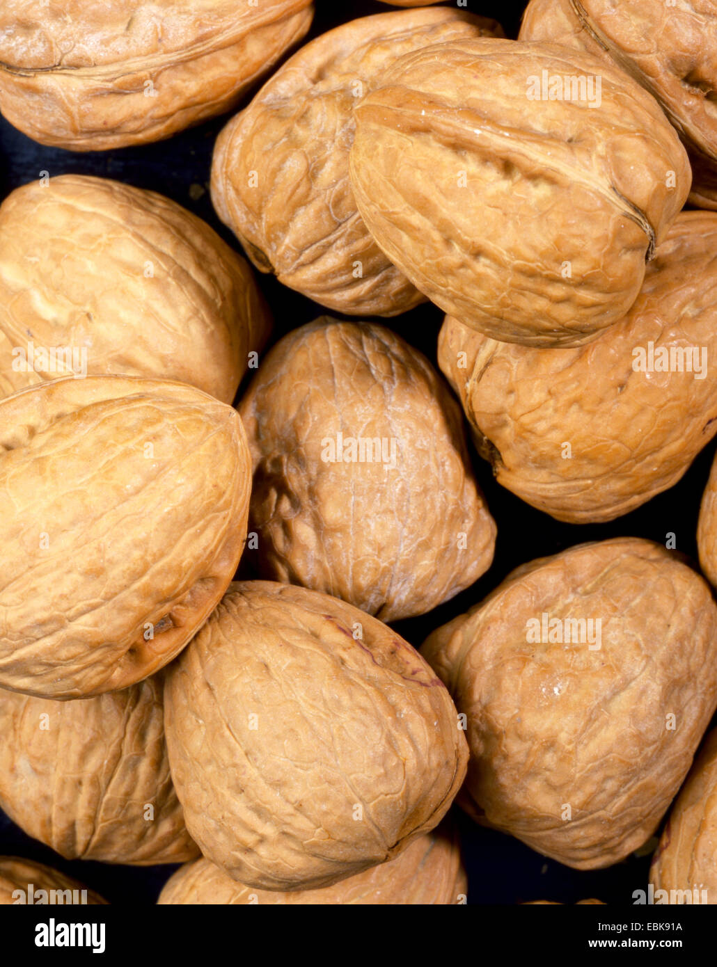 walnut (Juglans regia), walnuts Stock Photo - Alamy