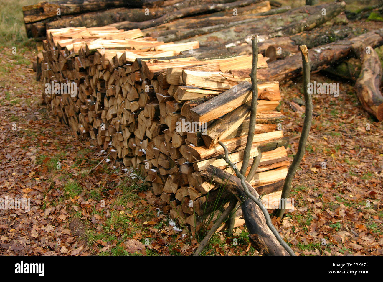 Fuelwood High Resolution Stock Photography and Images - Alamy