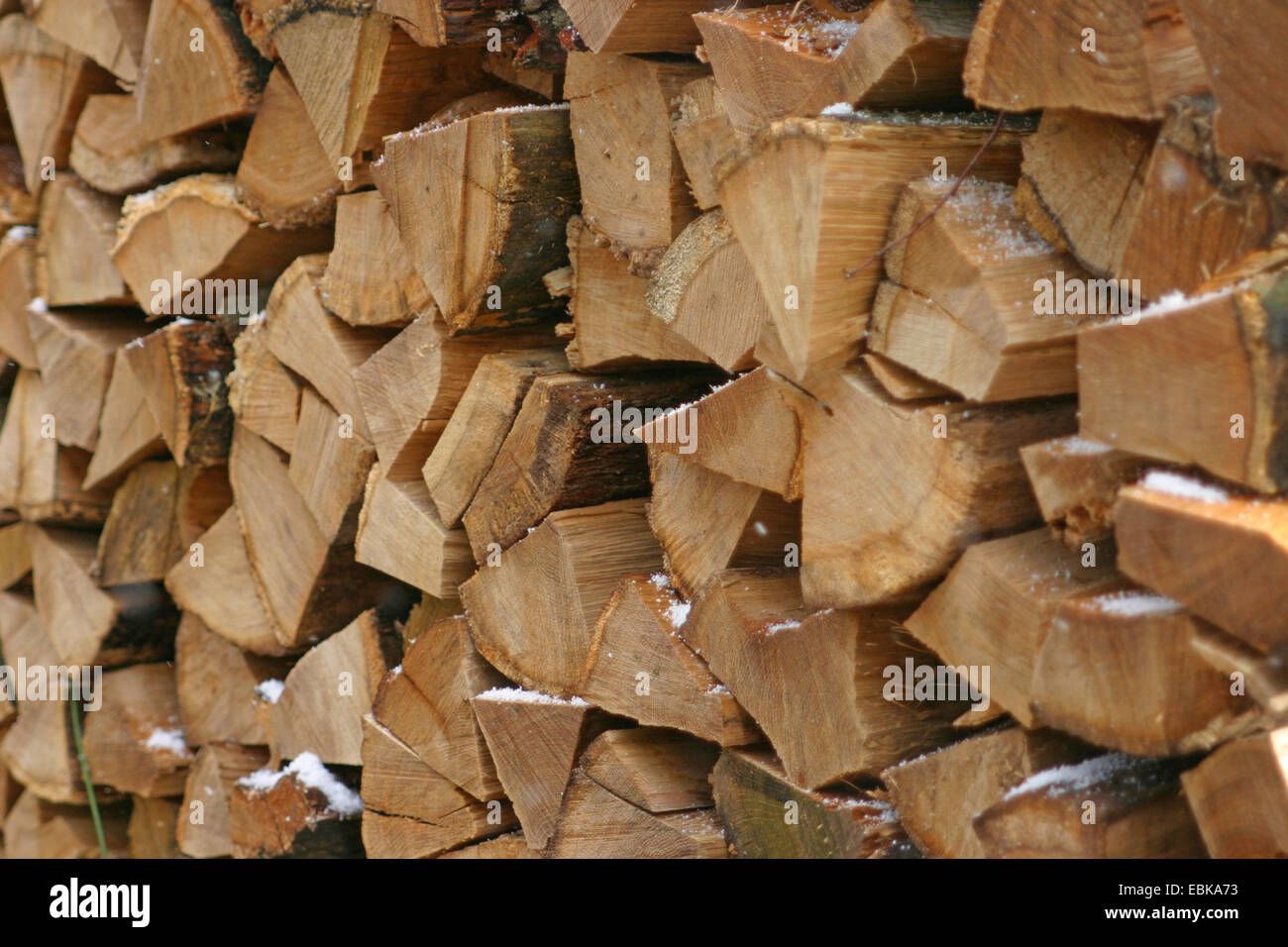 Scotch pine, Scots pine (Pinus sylvestris), stacked fuelwood, Germany ...