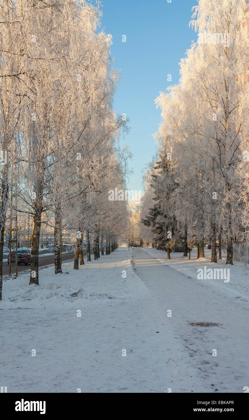 Winter Landscape with Frozen Trees Stock Photo - Alamy