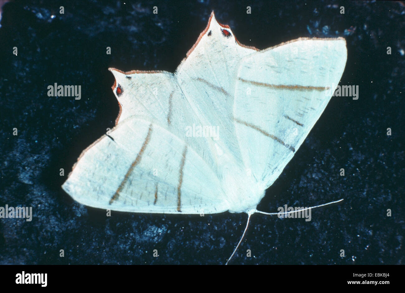 Sindividual hi-res stock photography and images - Alamy