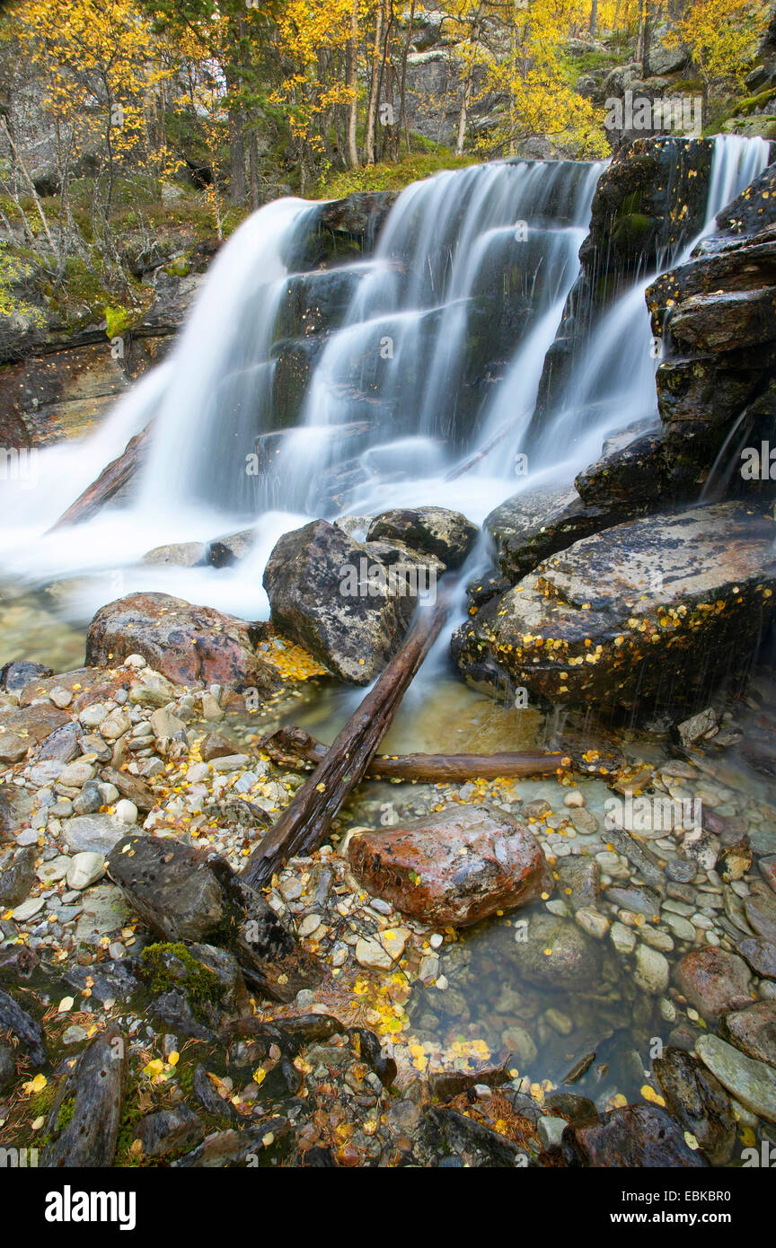 waterfall and river running through ancient boreal forest in autumn ...
