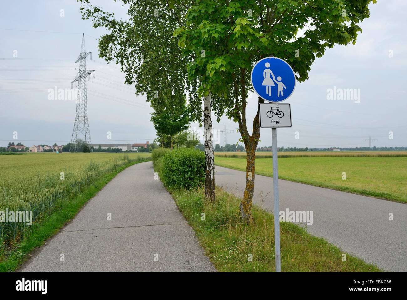 walkway and bikeway in field landscape, Germany, Bavaria Stock Photo ...