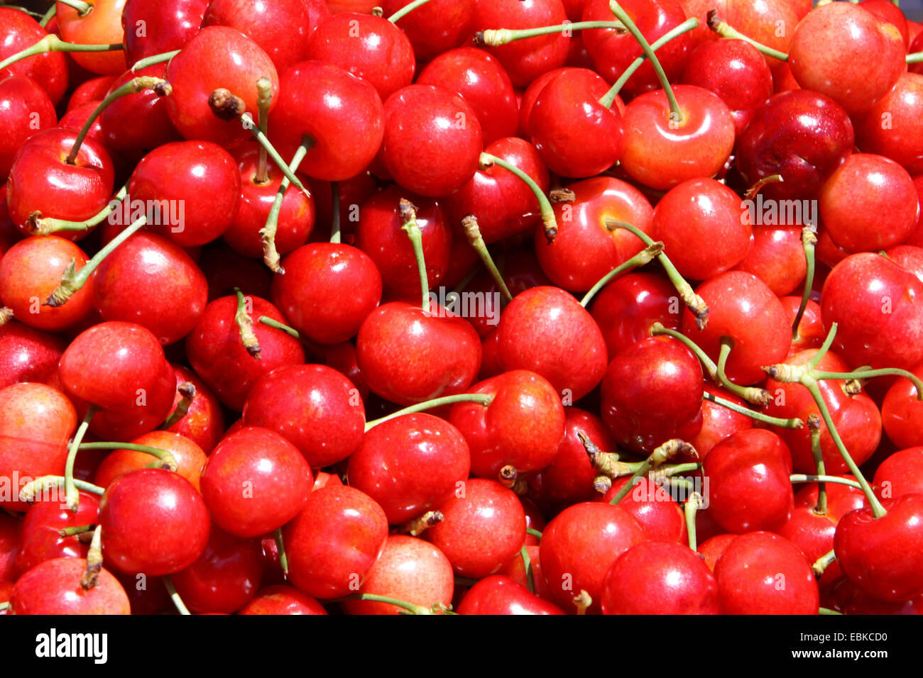 Fresh cherrys hi-res stock photography and images - Alamy