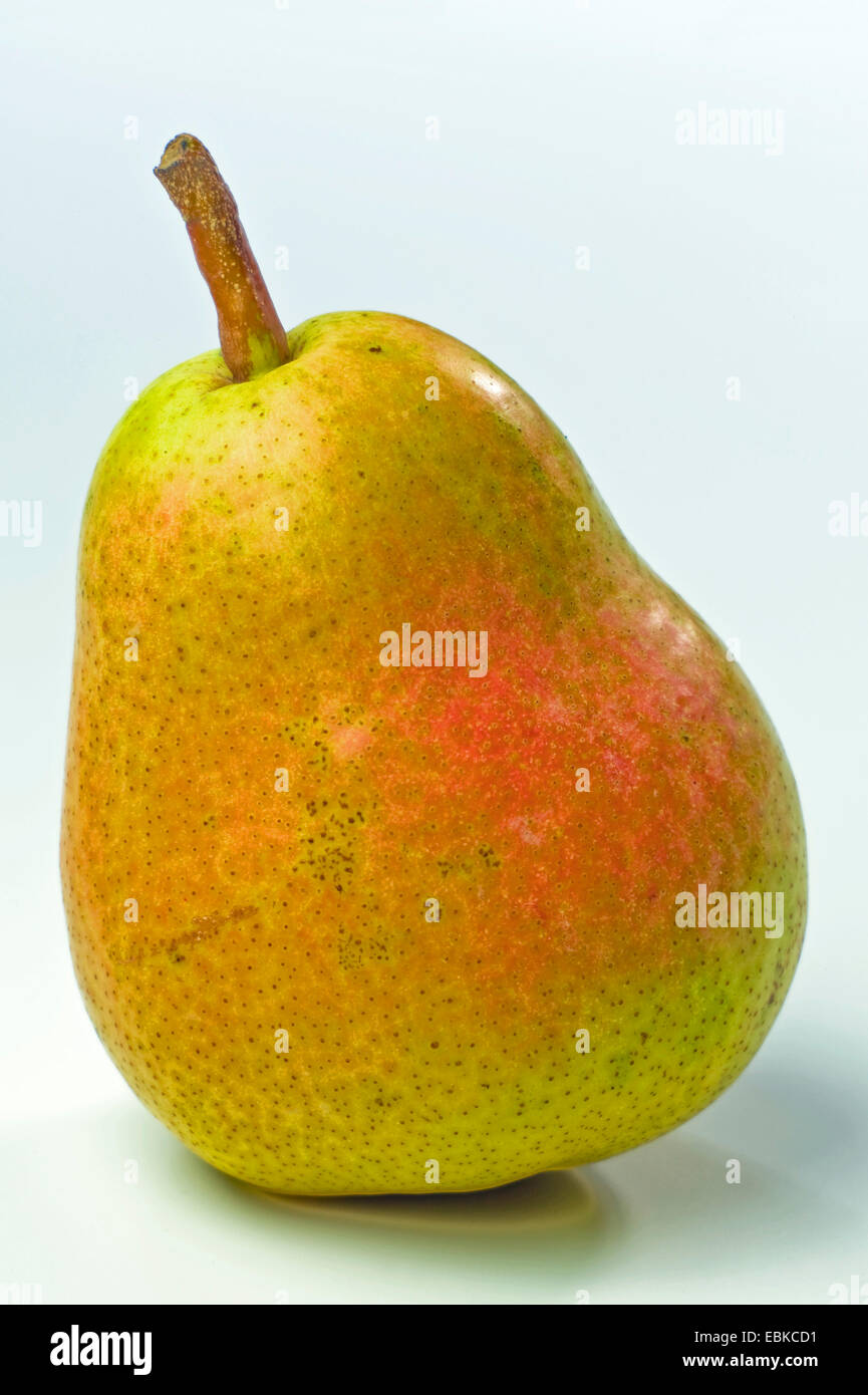 Williams pear hi-res stock photography and images - Alamy