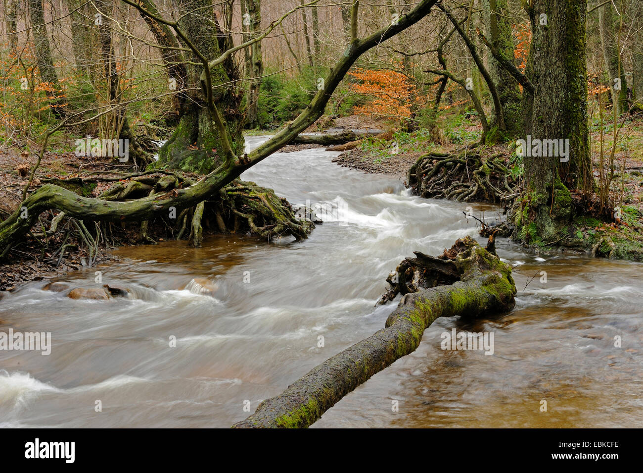 Snowmelt hi-res stock photography and images - Alamy