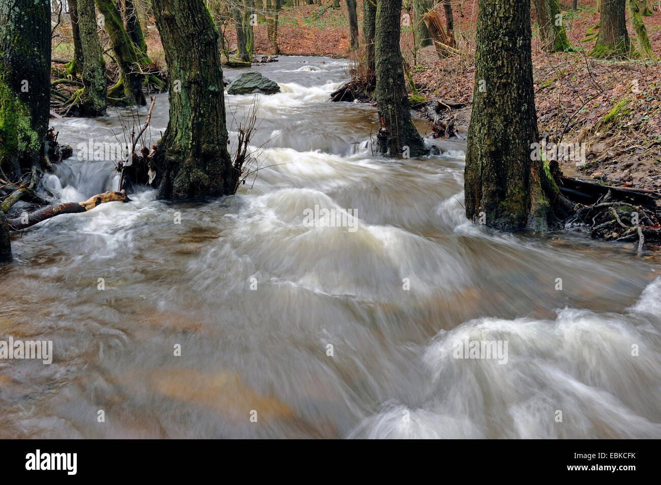 Snowmelt hi-res stock photography and images - Alamy